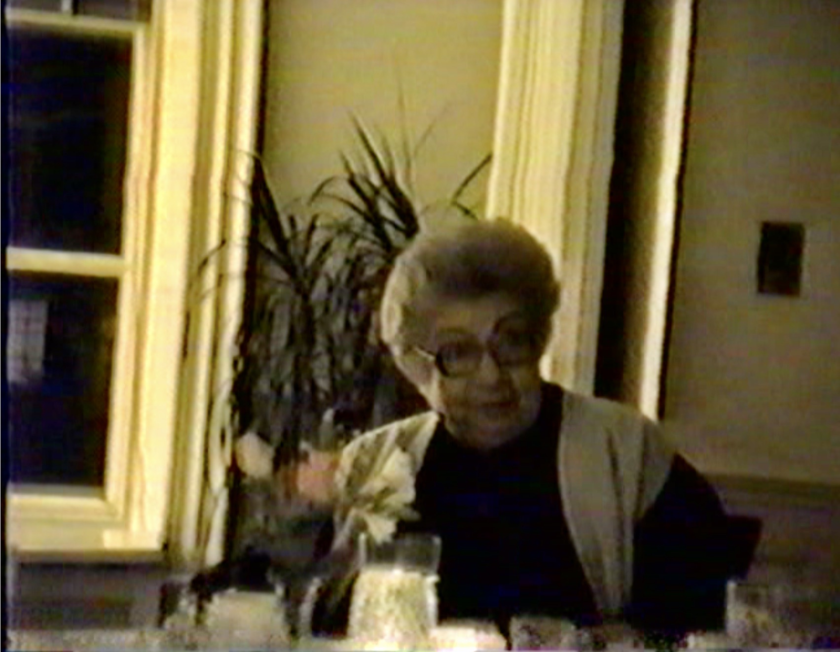 Simone Deitz On Simone Weil Video Circa 1988 Attention